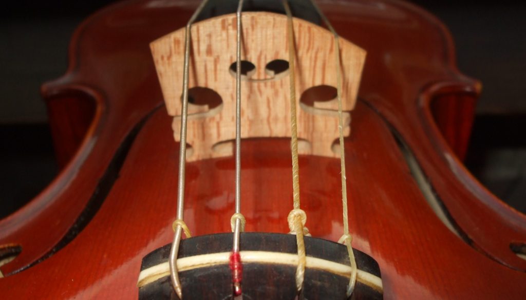 Organologia: gli strumenti cordofoni